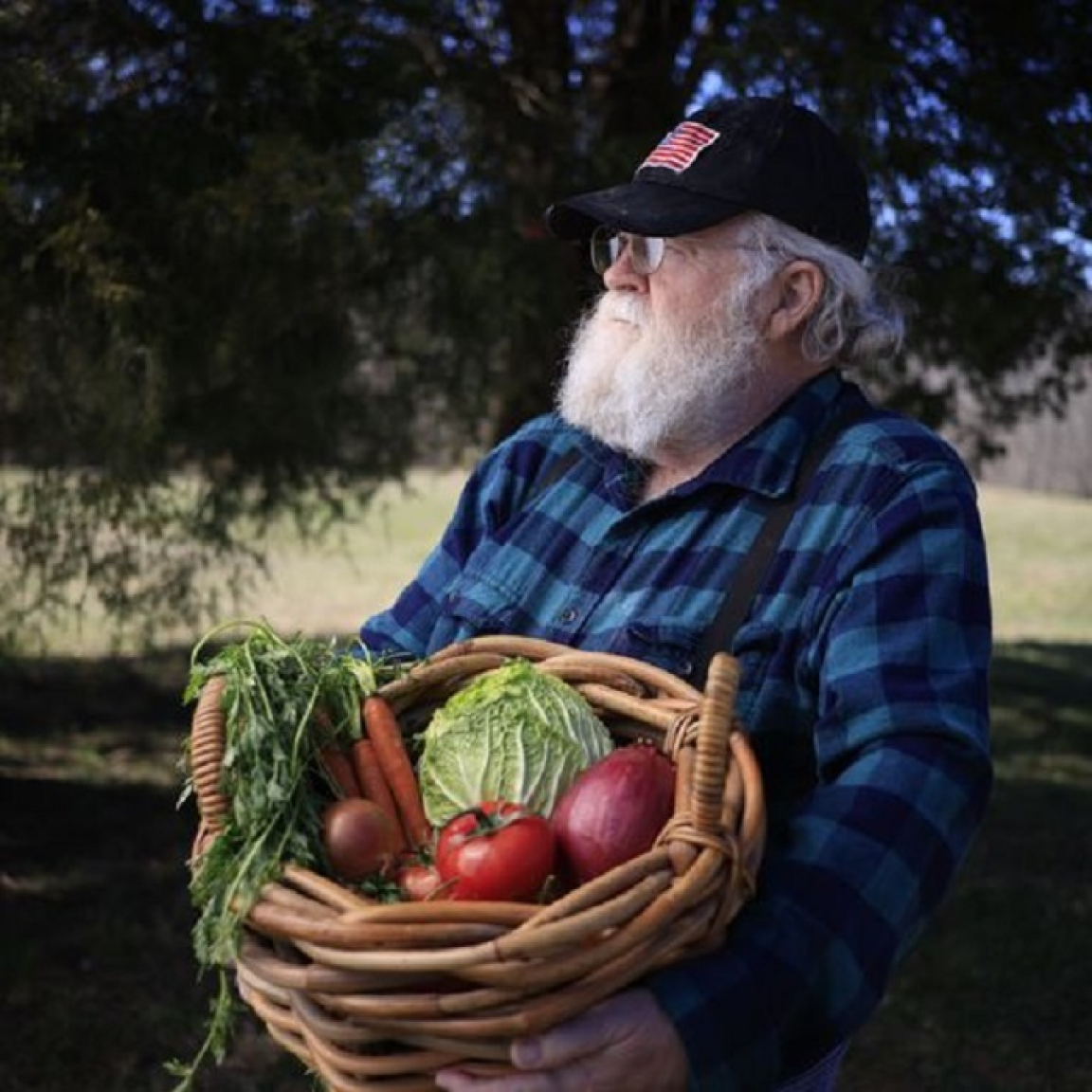 Top 10 Entry Points for Mice to Get Into Your Home – Grandpa Gus